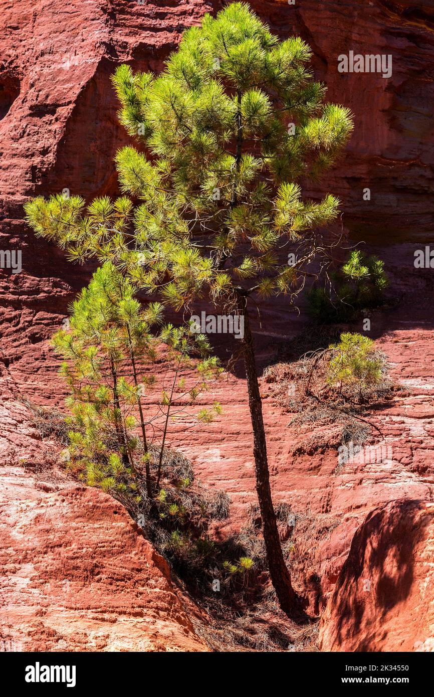 Ochre nature trail, Le Sentier des Ocres, former ochre mining area ...