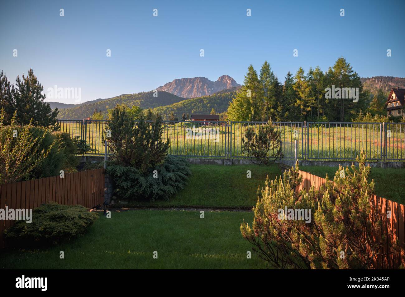 Juniper bushes hi-res stock photography and images - Alamy