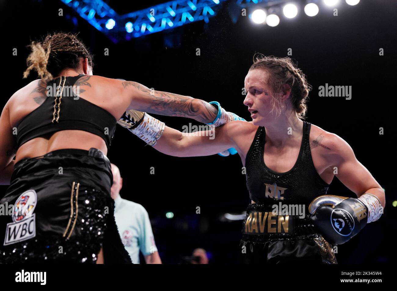 Guanini hi-res stock photography and images - Alamy