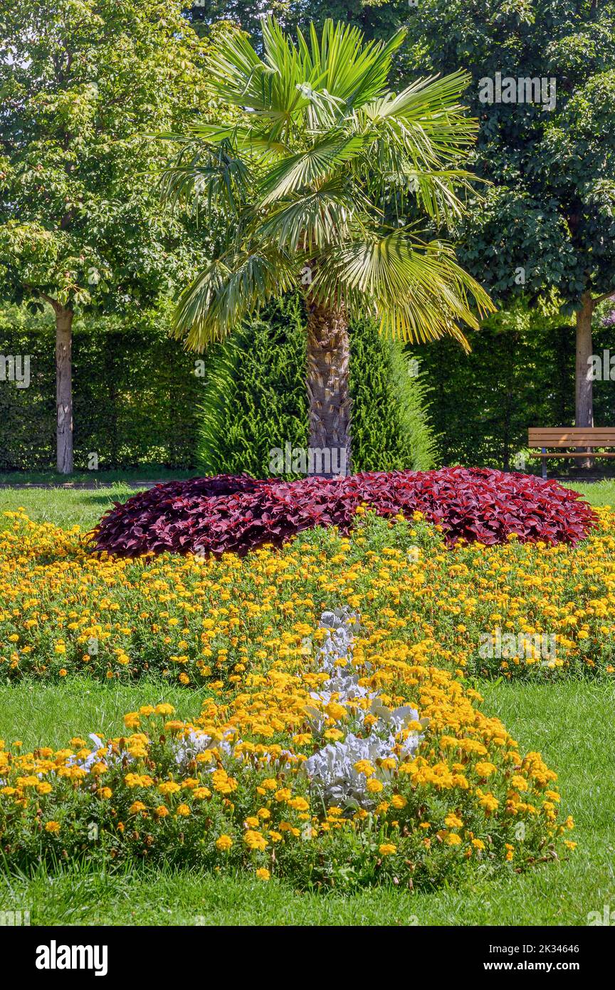Courtyard with palm tree hi-res stock photography and images - Alamy