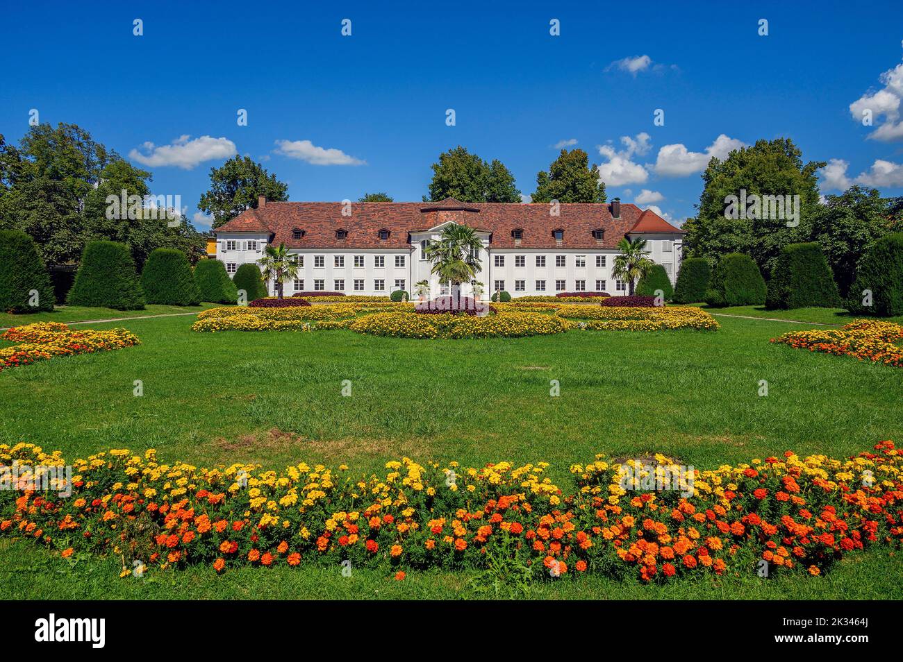 Library-orangery, palm trees, cinnamon (Solenostemo) and zinnias ...