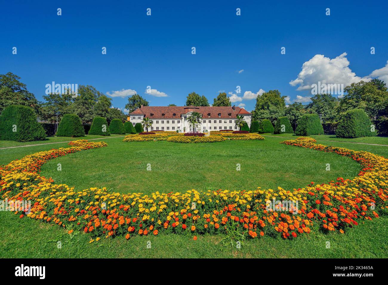 Courtyard with palm tree hi-res stock photography and images - Alamy
