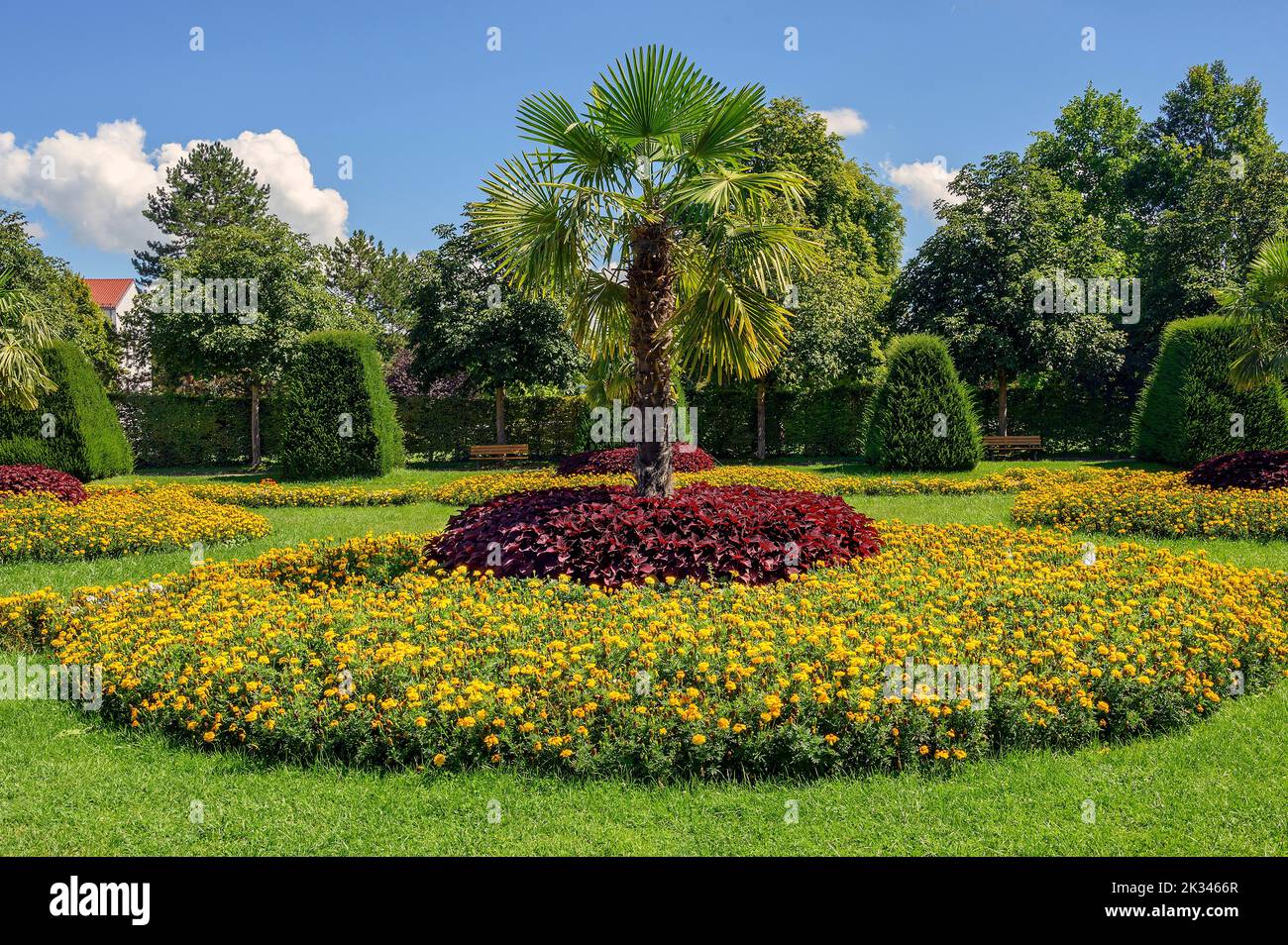 Courtyard with palm tree hi-res stock photography and images - Alamy