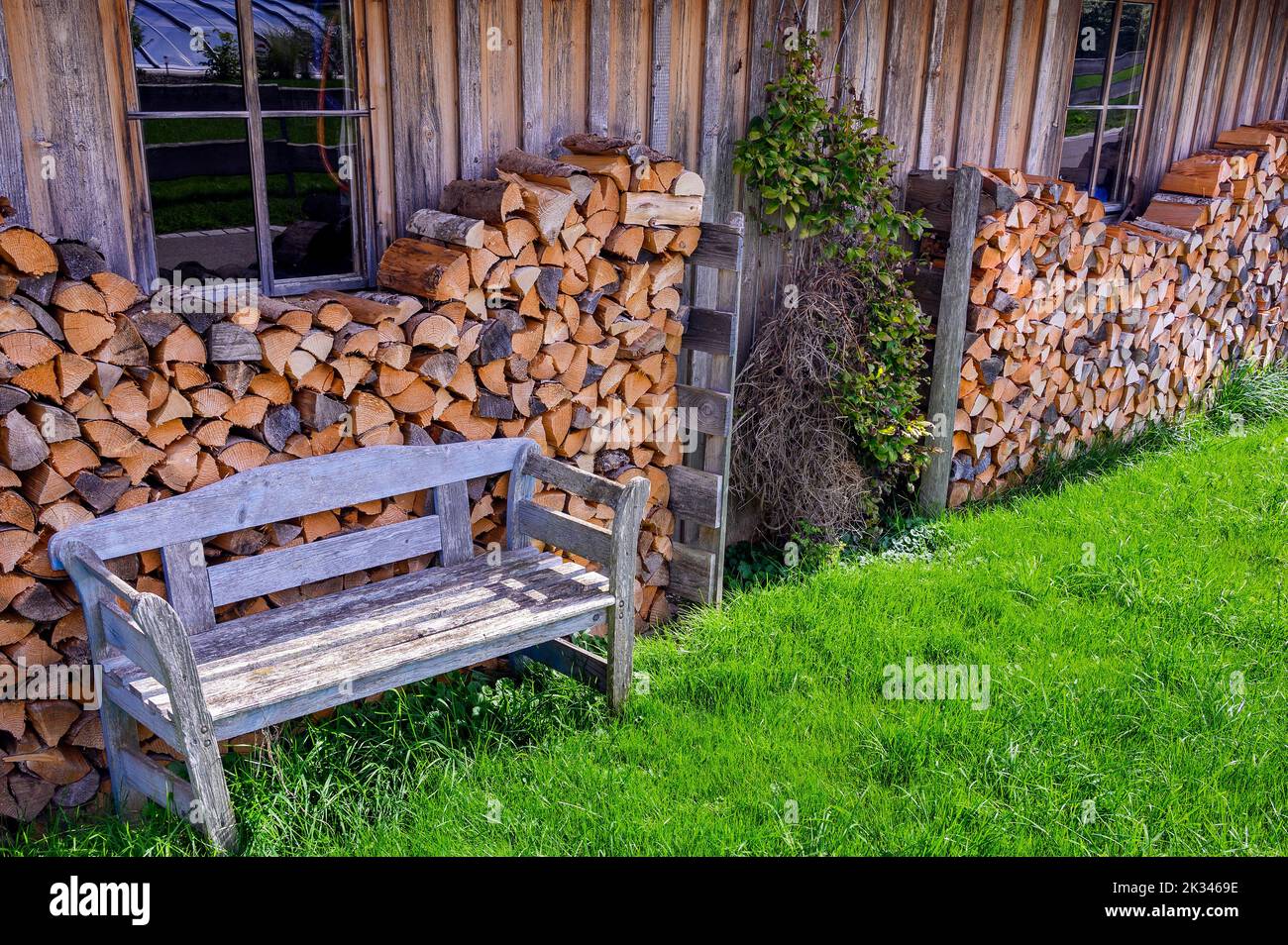 Firewood pile and old wooden bench, Allgaeu, Bavaria, Germany Stock ...