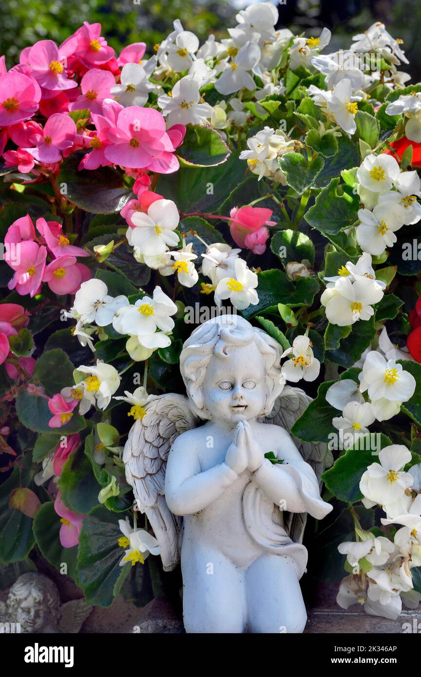 Grave with flower decoration, praying angel and busy lizzie (Impatiens ...