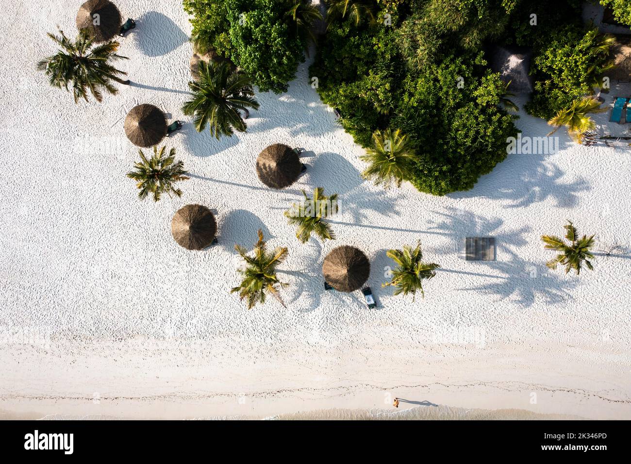 Aerial view, umbrellas on a beach of a Maldivian island, Maldives ...