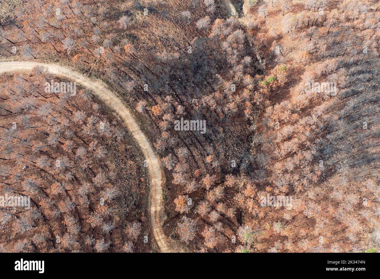 Destruction lane hi-res stock photography and images - Alamy