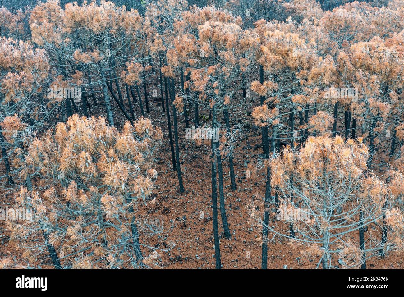 Wildfire drone hi-res stock photography and images - Alamy