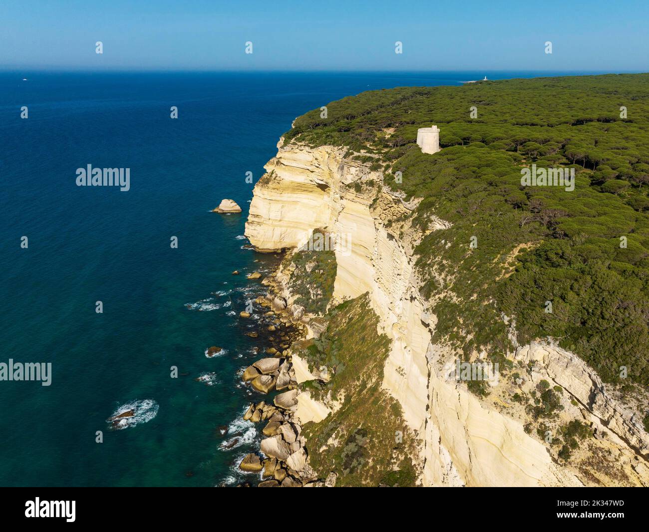 Cliff, pine tree (Pinus pinea) forest and watchtower Torre de Tajo in ...