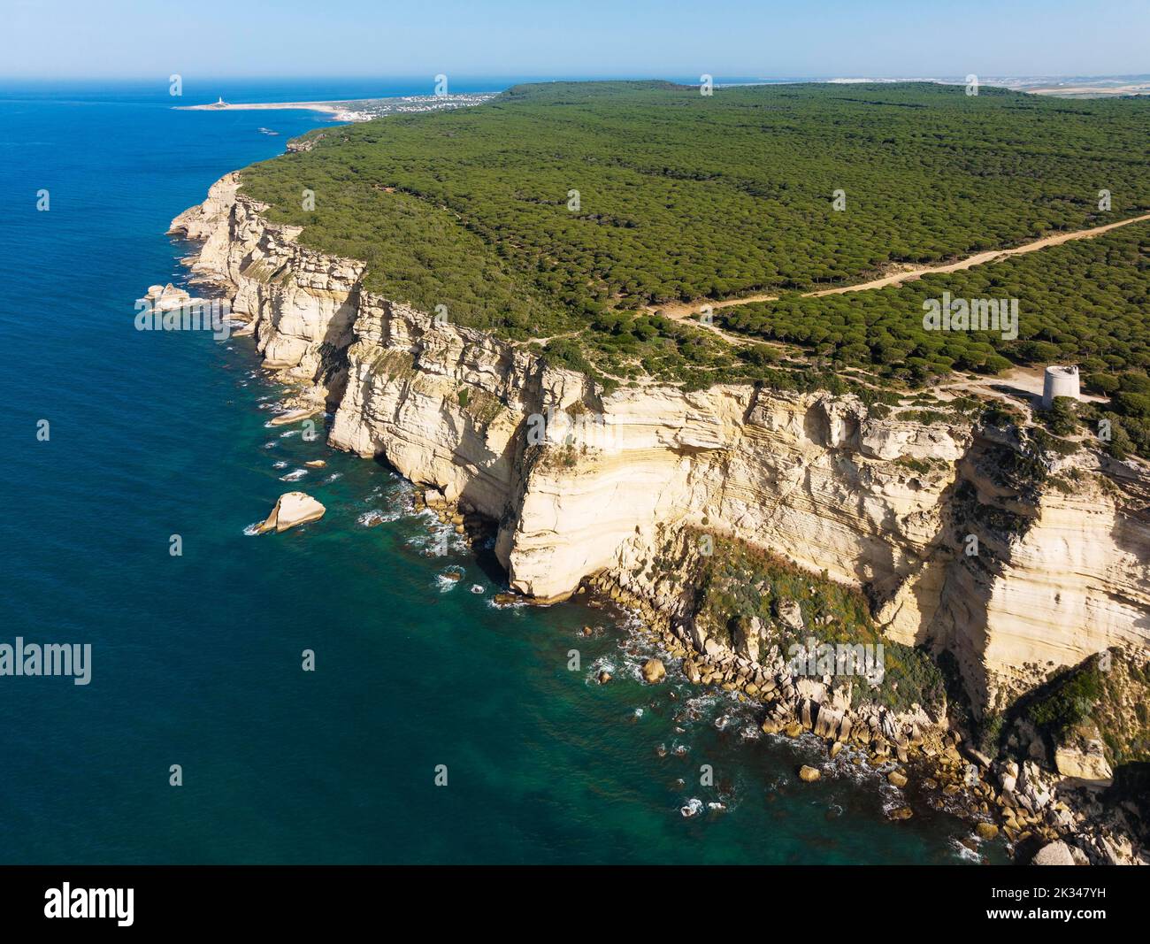 Cliff, pine tree (Pinus pinea) forest and watchtower Torre de Tajo in ...