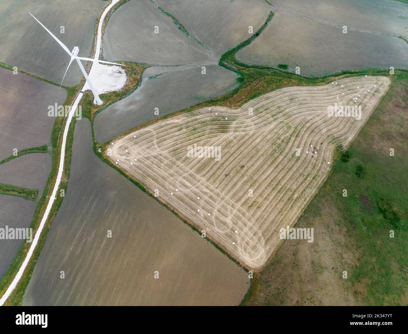 Windmill on a wind farm near Zahara de los Atunes, aerial view, drone ...