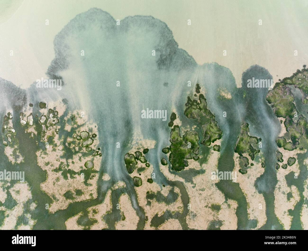 Network of channels and streams at low tide at their confluence with a ...