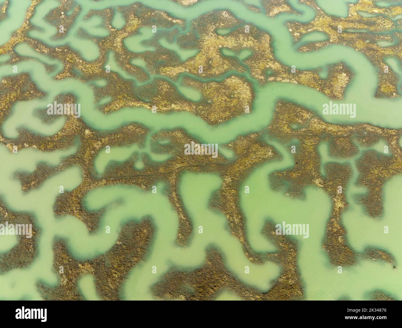 Network of channels and streams at low tide, in the marshland of the ...
