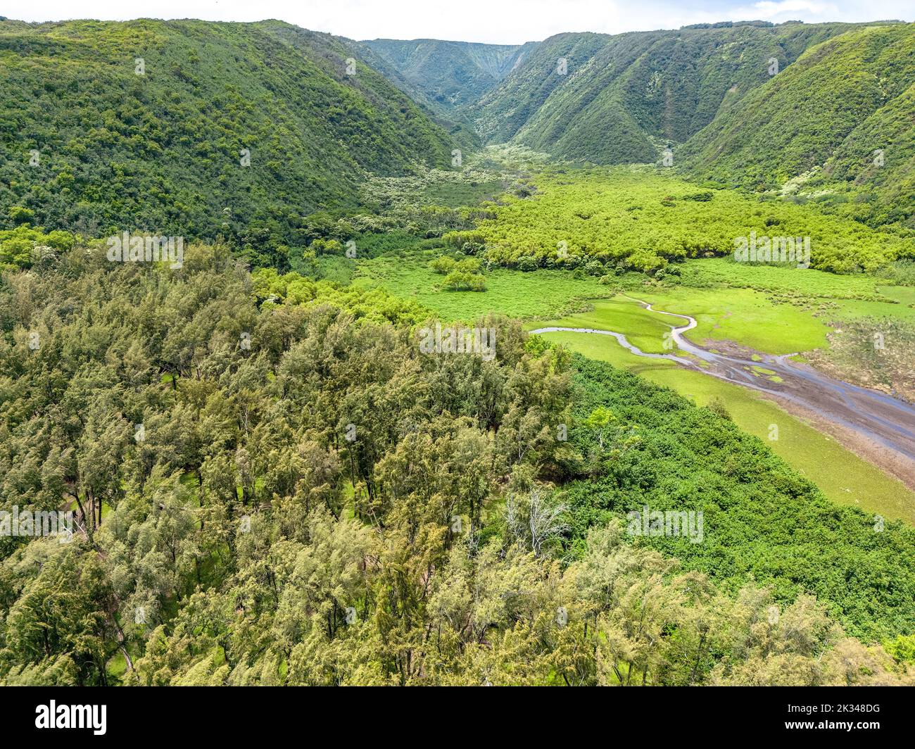Aerial view of the Pololu Valley, Big Island, Hawaii, USA, North ...