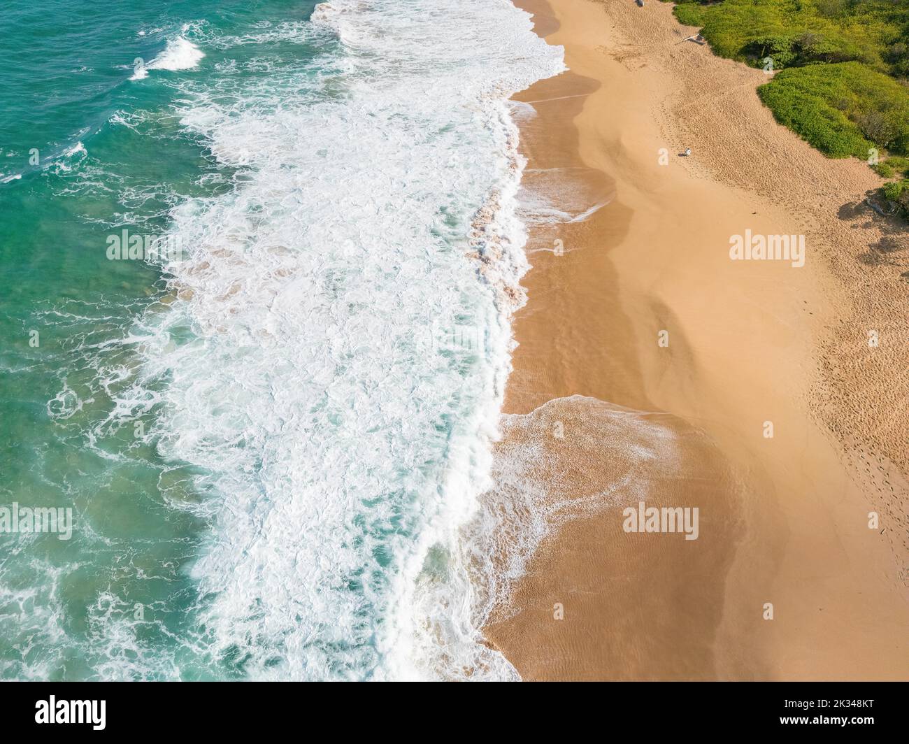 North american donkey hi-res stock photography and images - Alamy