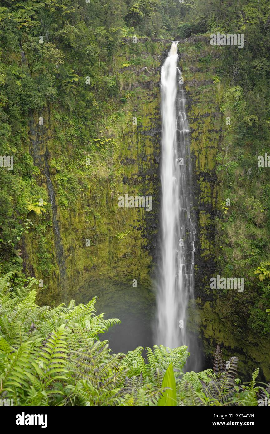 Akaka Falls, Akaka Falls State Park, Hilo, Big Island, Hawaii, USA ...