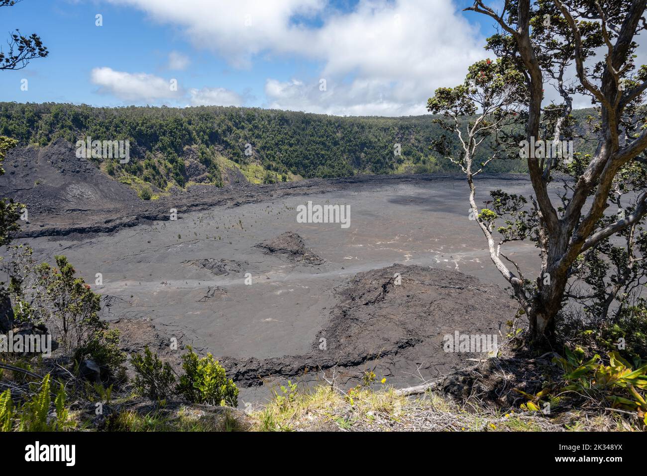 Kilauea Iki Crater, Crater Rim Drive East, Hawaii Volcanoes National ...