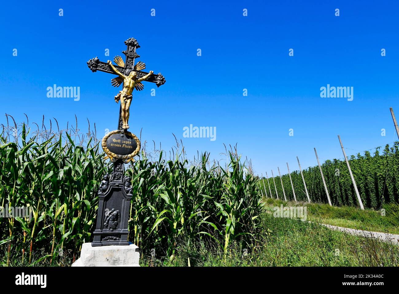 Field cross, cross in field, field, wayside cross, God bless our fields ...