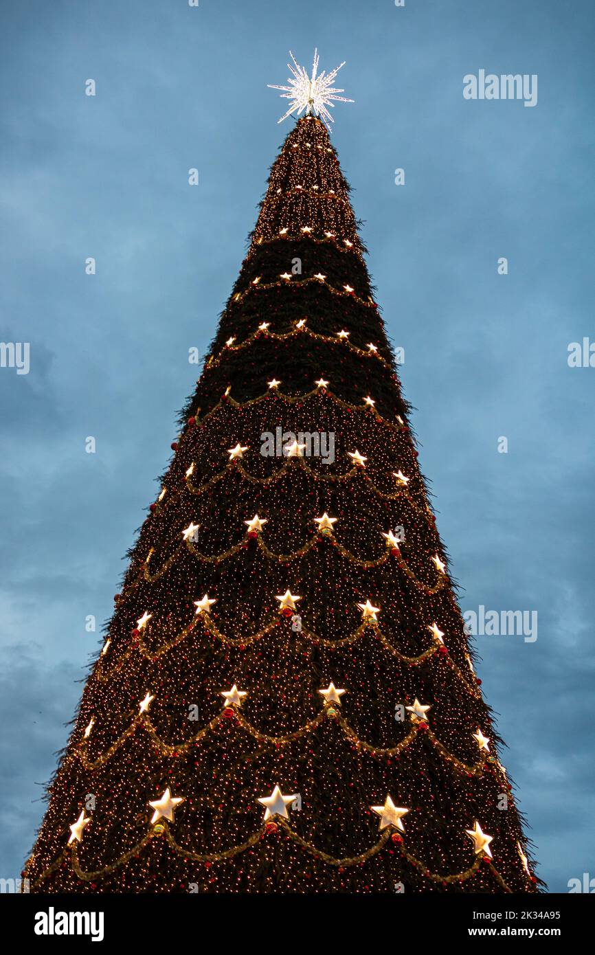 Bucharest Christmas market - Detail of Christmas tree Stock Photo - Alamy