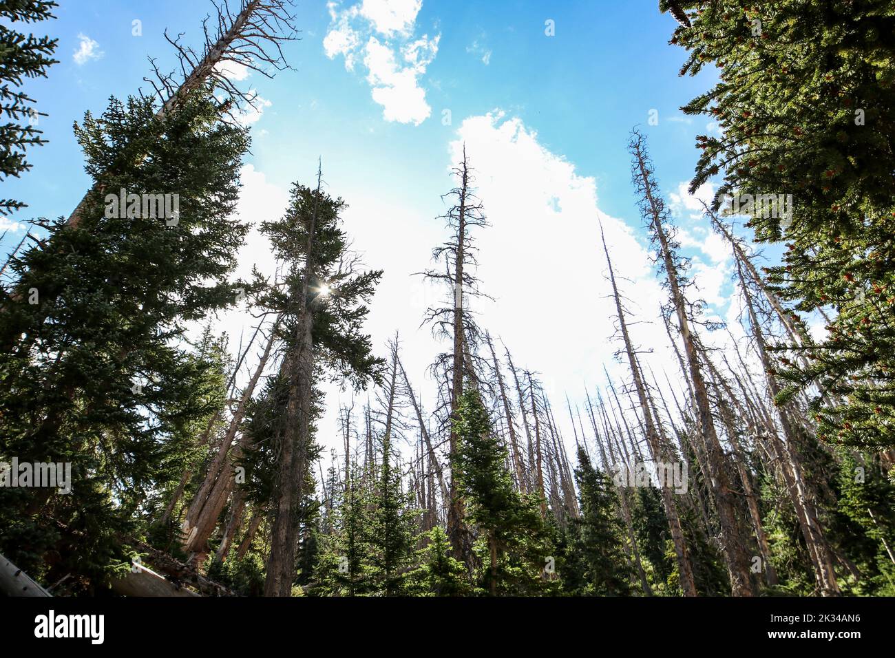Desert good weather hi-res stock photography and images - Alamy