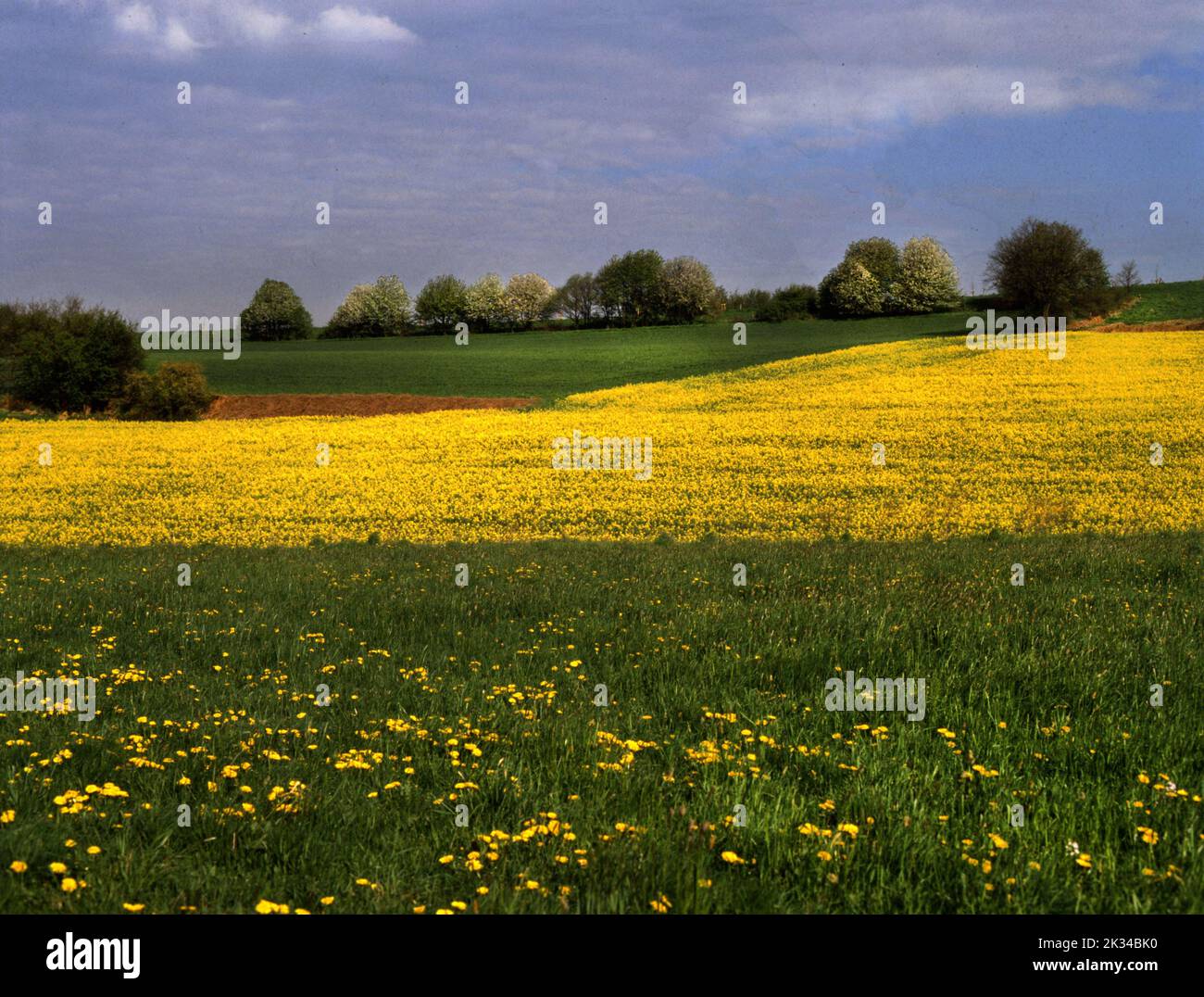 Sauerland. Spring 1989 Stock Photo - Alamy