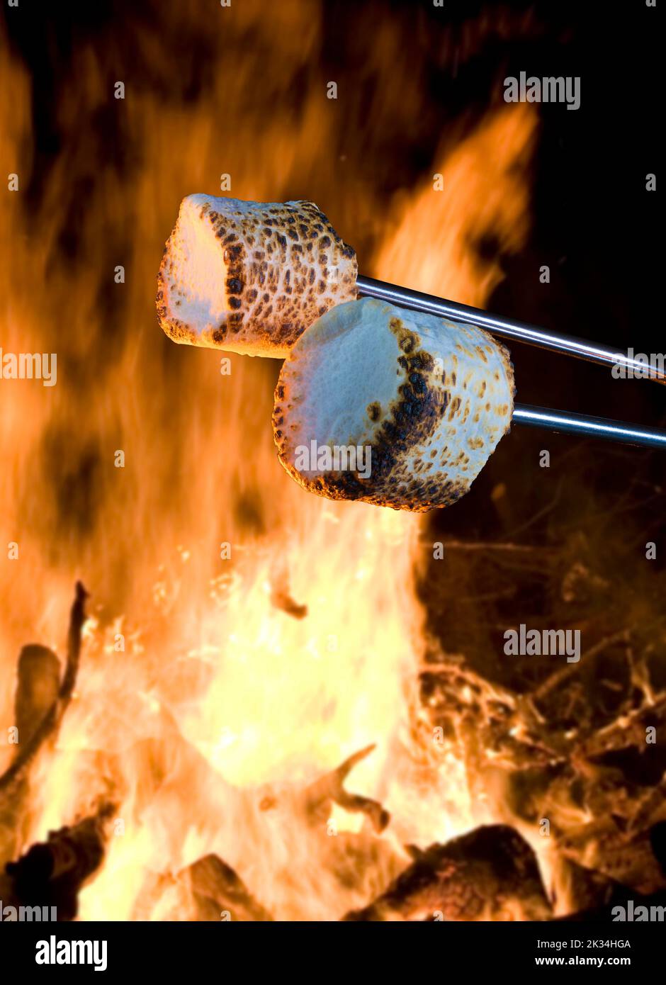 Two marshmallows being roasted to make smores over a campfire Stock ...