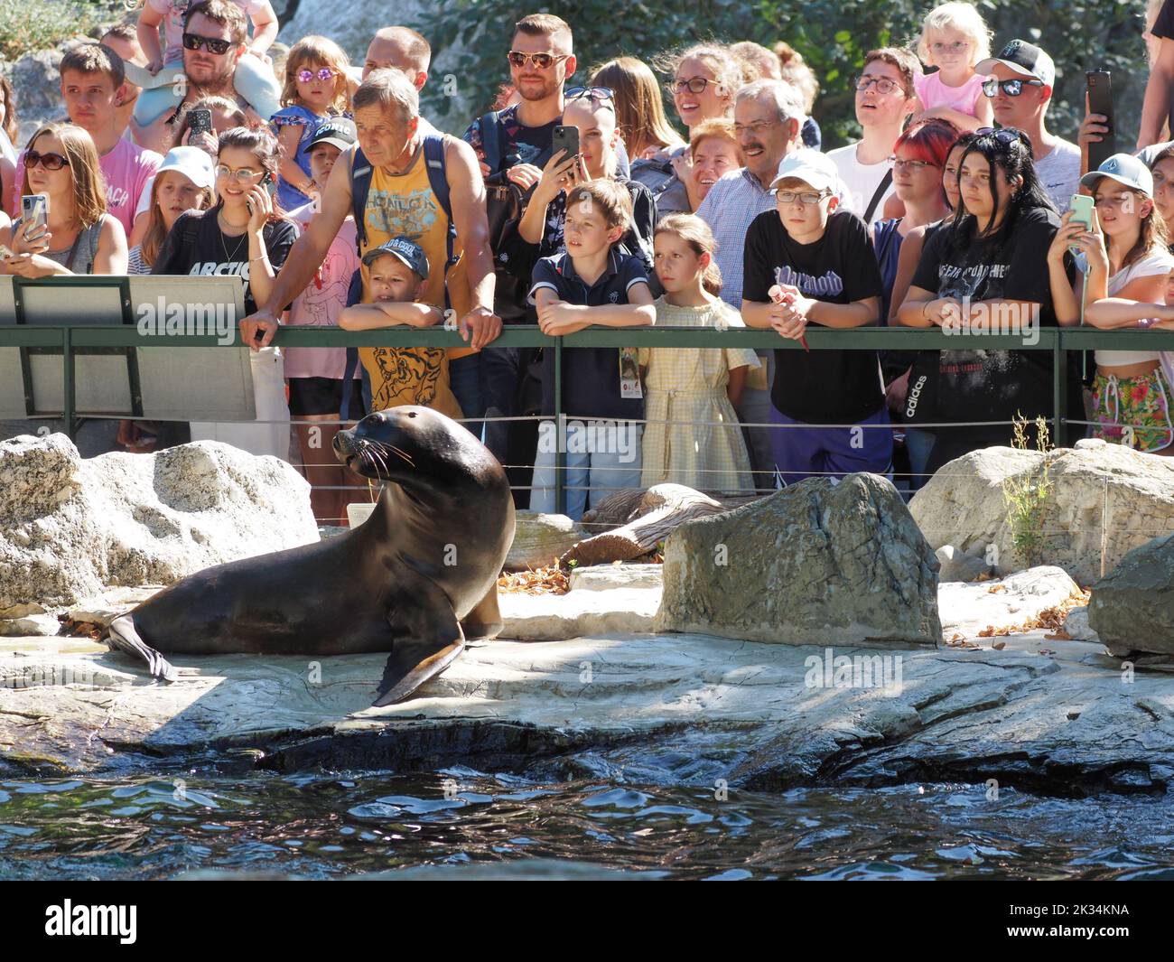 The audience watches the performance of South American sea lion in Zoo ...