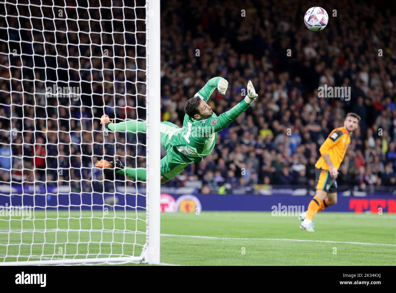 Parrotts hi-res stock photography and images - Alamy