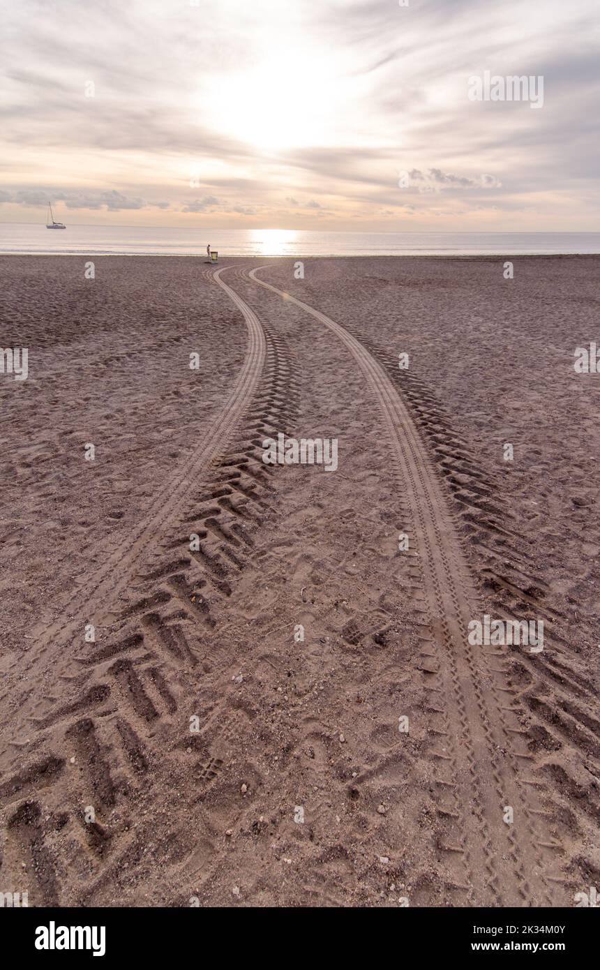 A long Wheel Tracks in the Sand of a Sandy Beach Desert under sunset ...