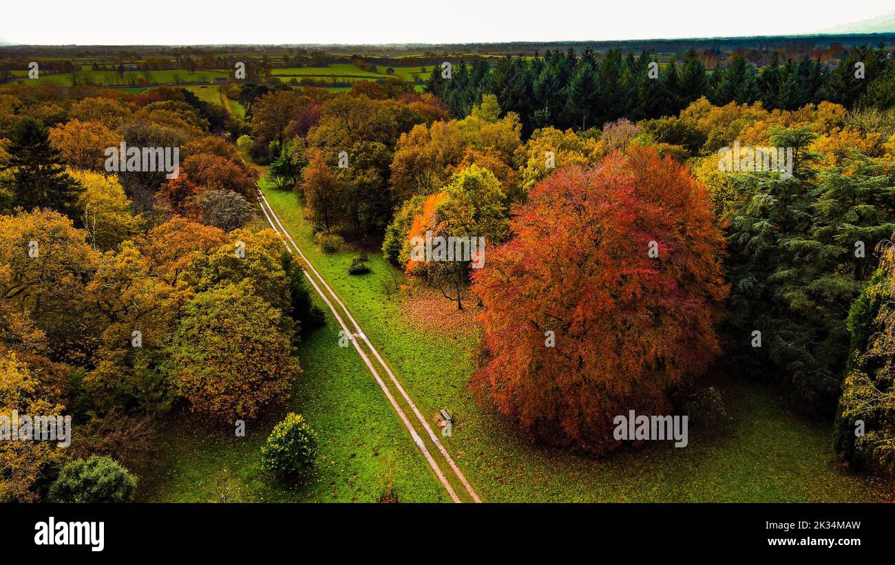 Westonbirt arboretum trees hi-res stock photography and images - Alamy