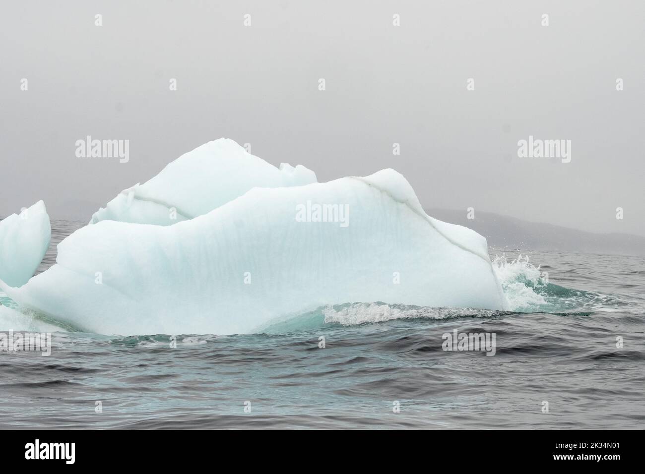 Newfoundland boat tour iceberg hi-res stock photography and images - Alamy