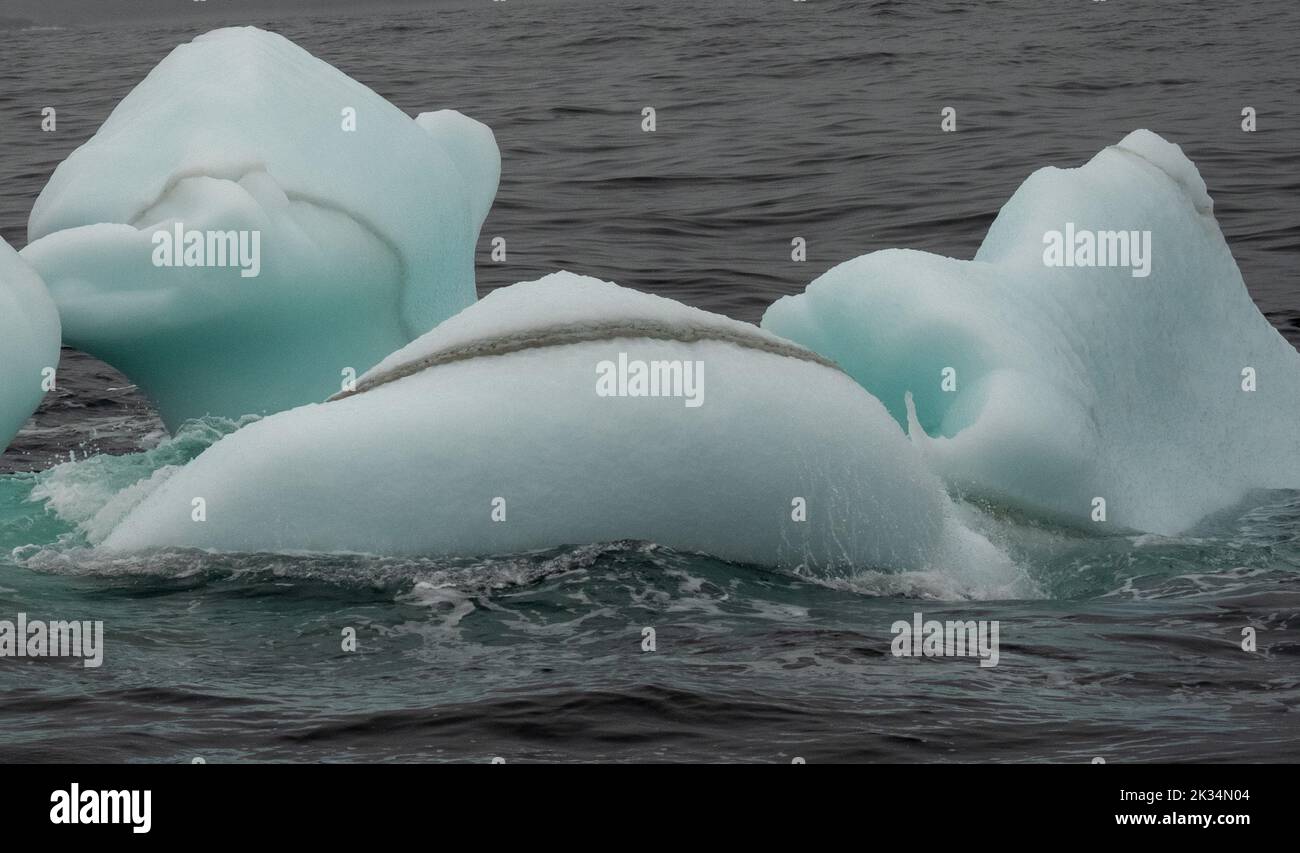 Iceberg floating off coast of Newfoundland, Canada Stock Photo - Alamy