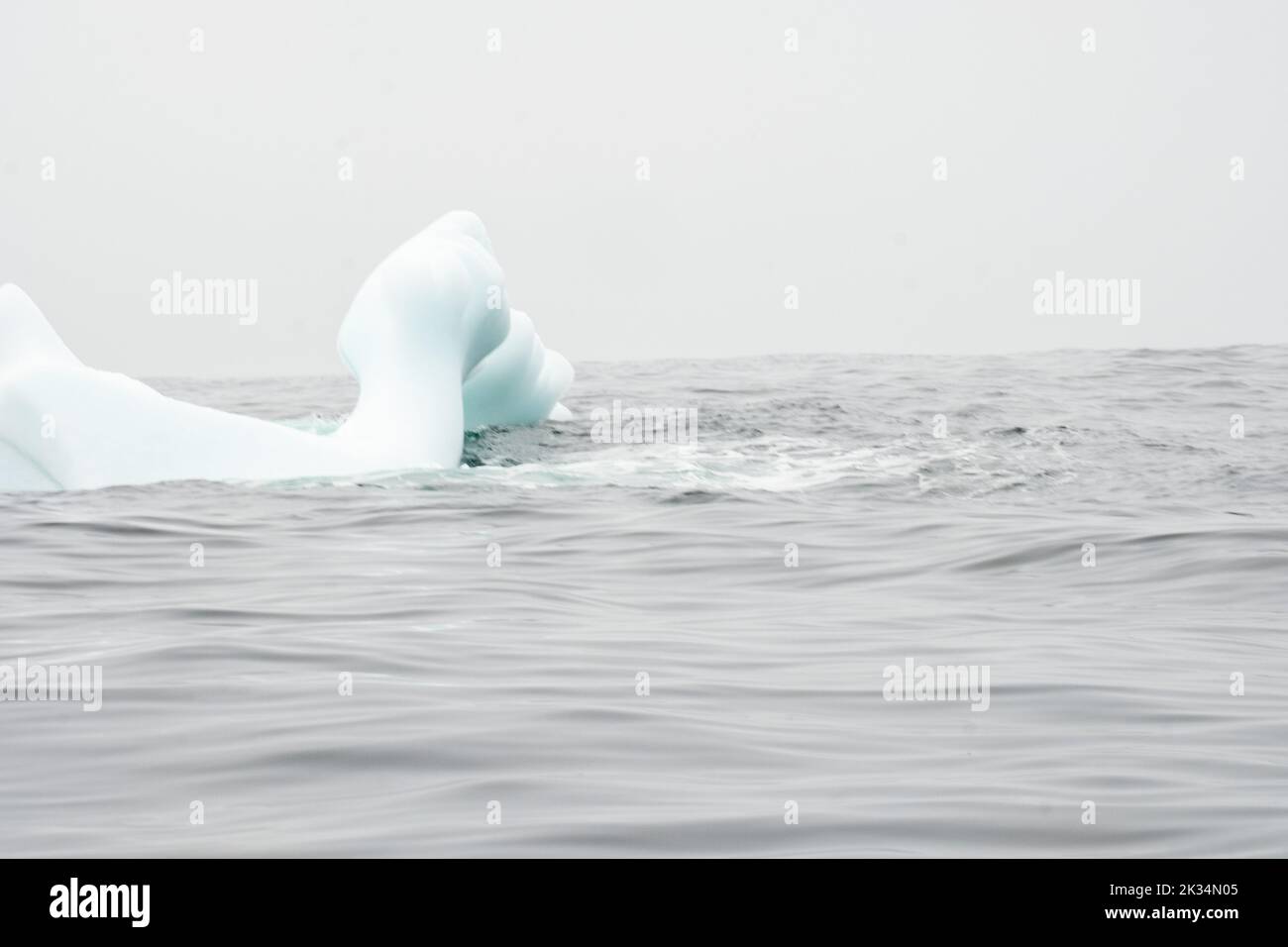 Newfoundland boat tour iceberg hi-res stock photography and images - Alamy