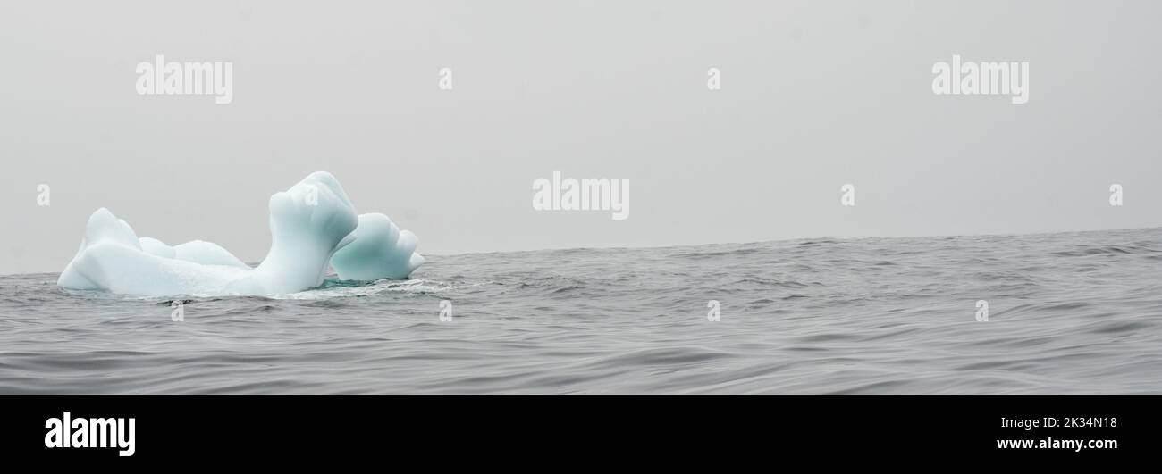 Iceberg floating off coast of Newfoundland, Canada Stock Photo - Alamy