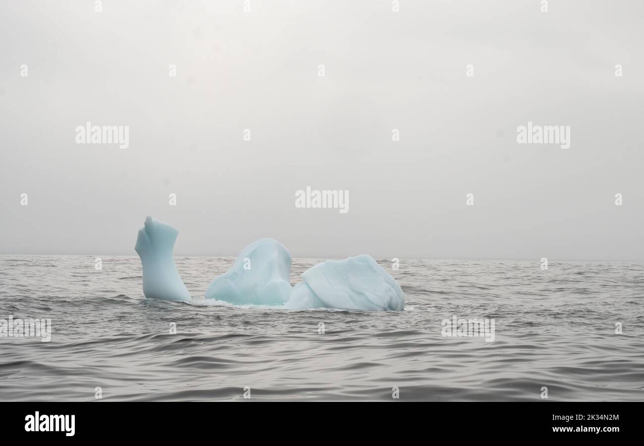 Iceberg floating off coast of Newfoundland, Canada Stock Photo - Alamy