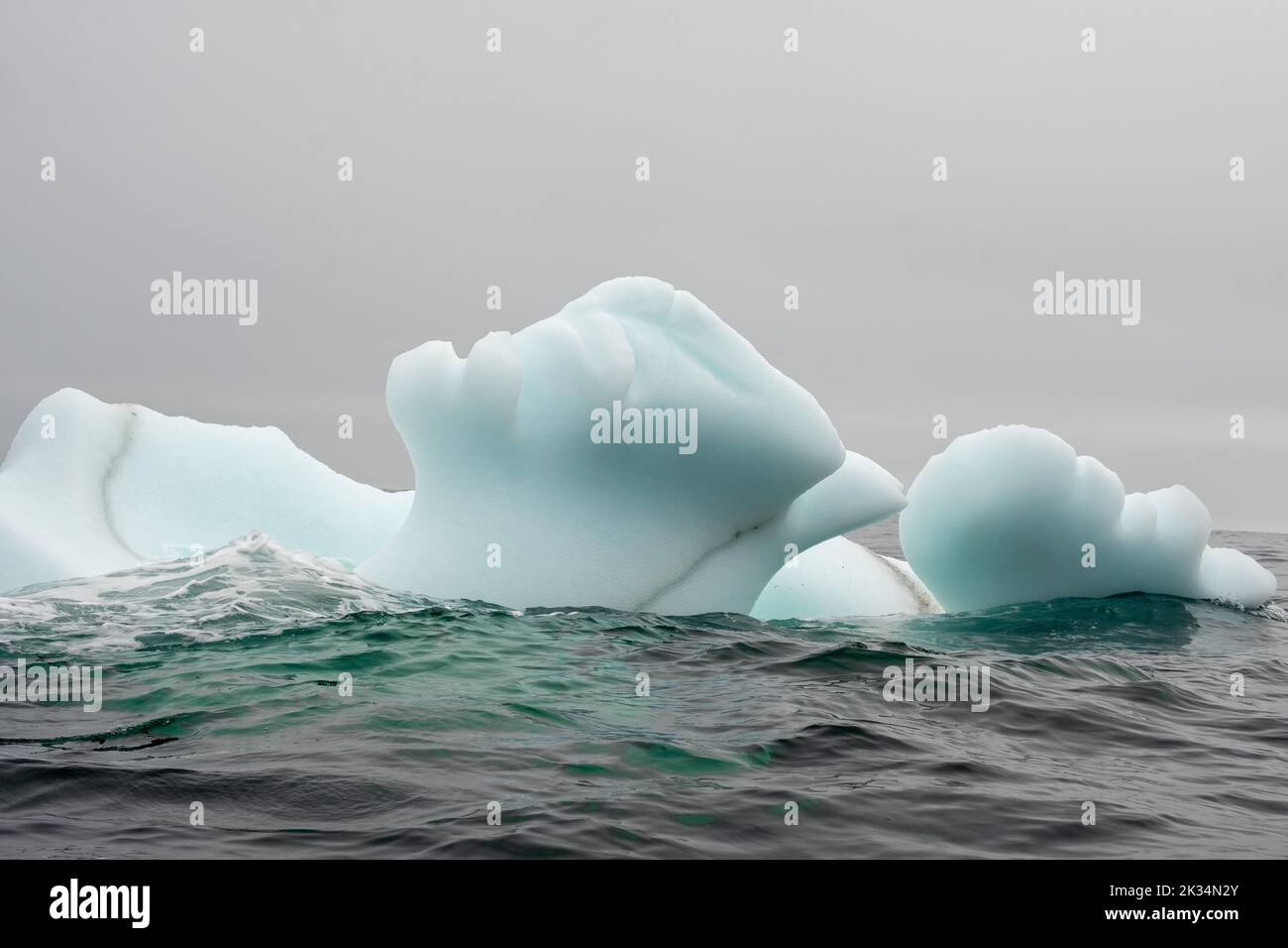 Iceberg floating off coast of Newfoundland, Canada Stock Photo - Alamy