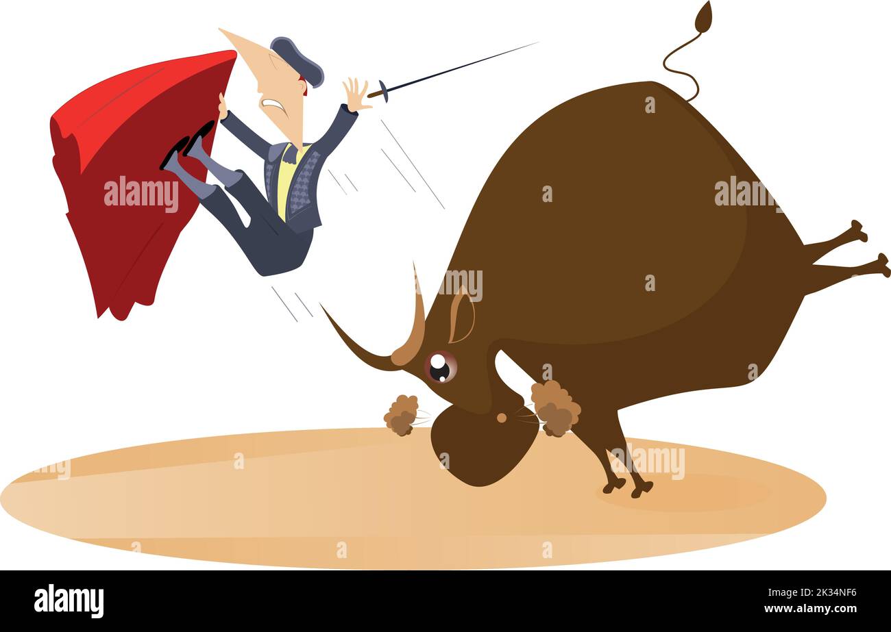 Bullfighter and the rage bull isolated. Bull raised the bullfighter by ...