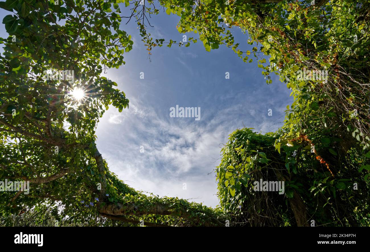 View through branches beautiful landscape hi-res stock photography and ...