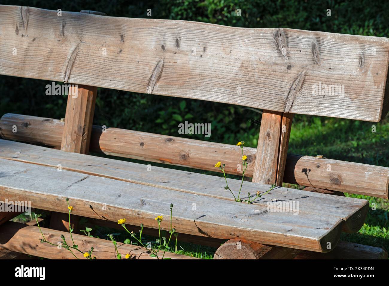 Rustic garden bench made of solid wood Stock Photo - Alamy