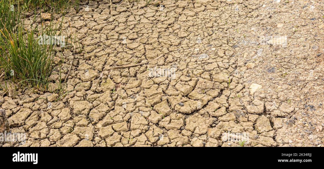 Dry cracked earth, parched land, Earth dirt texture background of brown ...