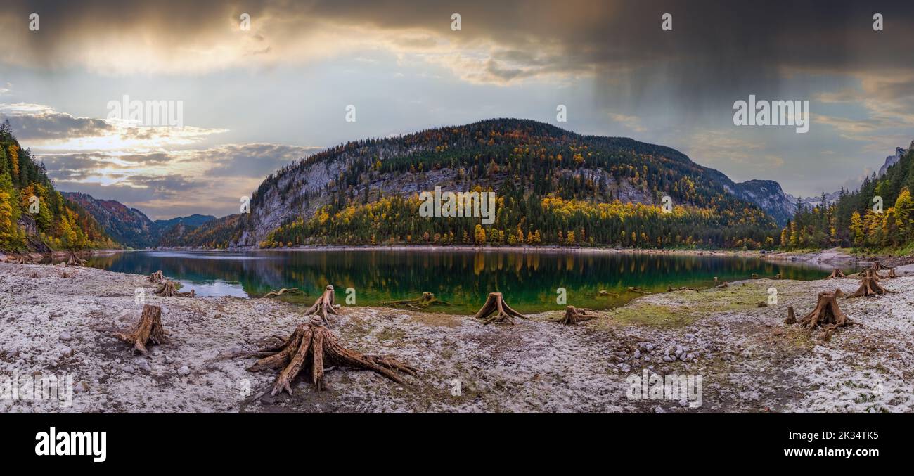 Tree stumps near Gosauseen or Vorderer Gosausee lake, Upper Austria ...