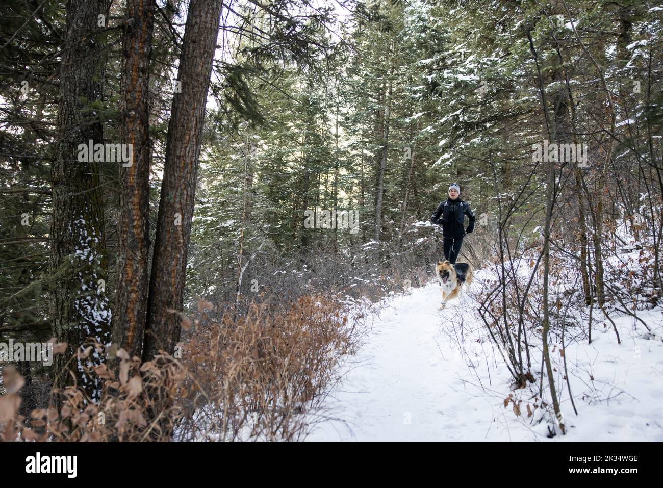 Runner man dog hi-res stock photography and images - Alamy