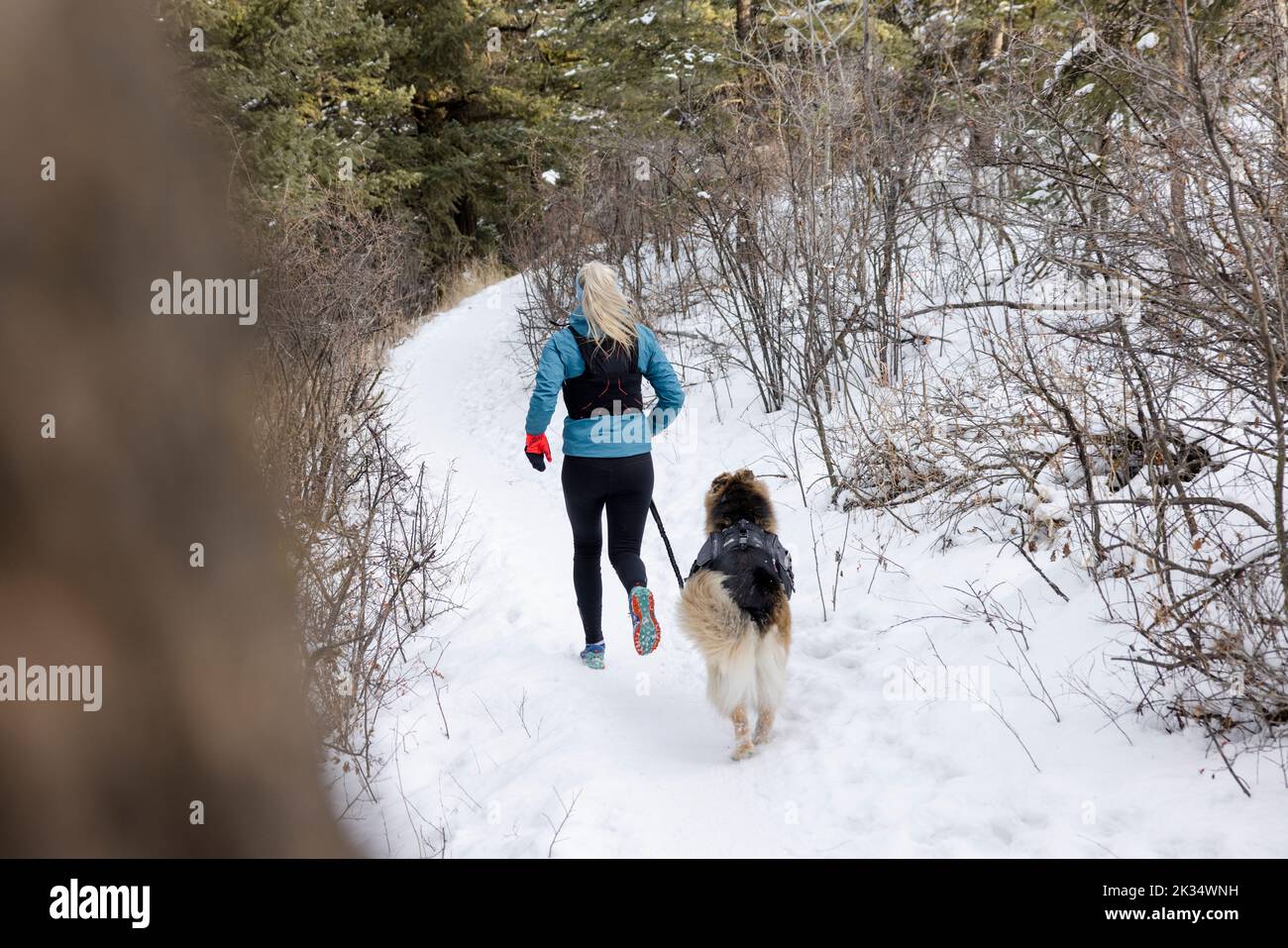 Person running with dog hi-res stock photography and images - Alamy