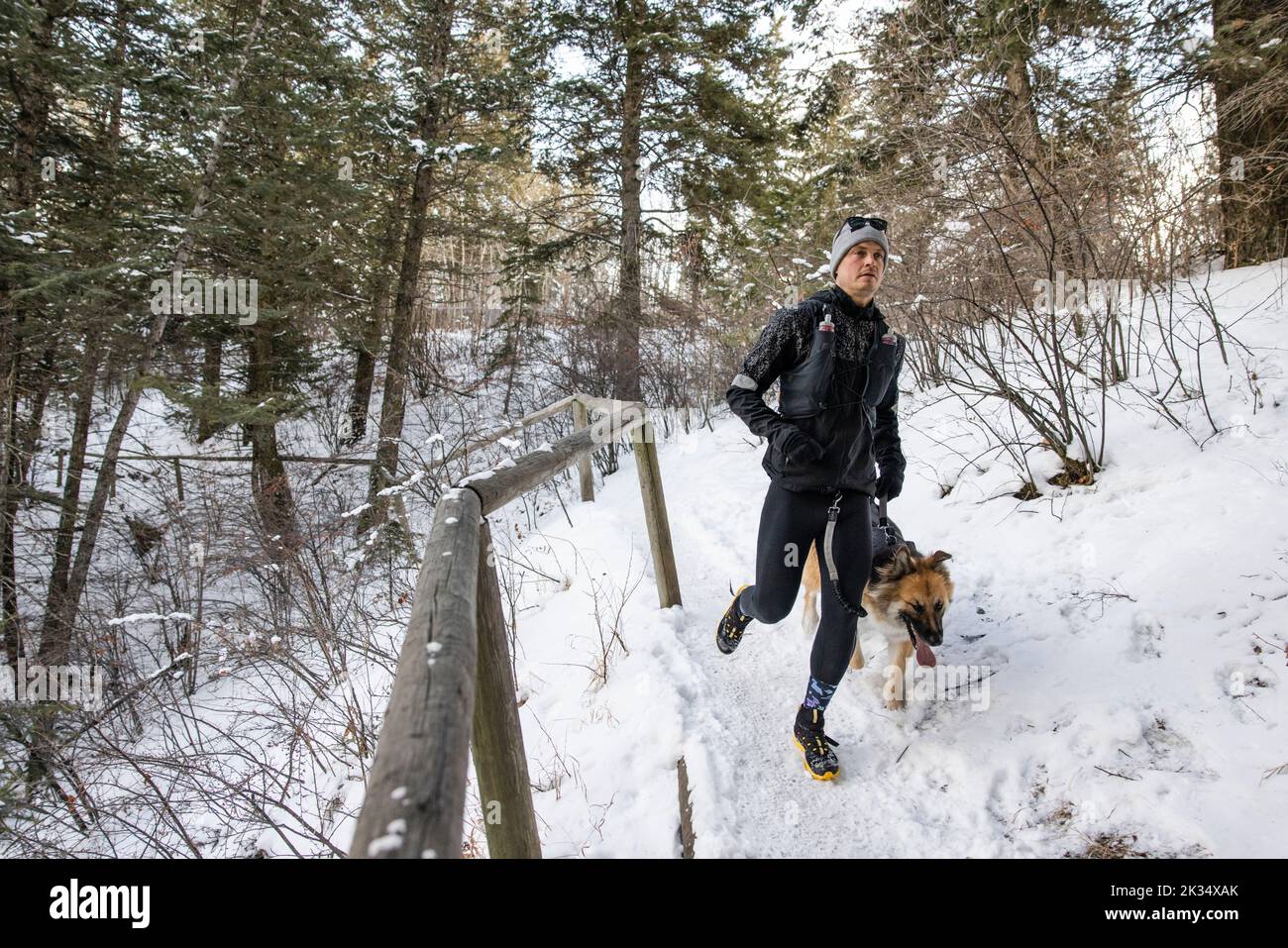 Runner with dog hi-res stock photography and images - Alamy