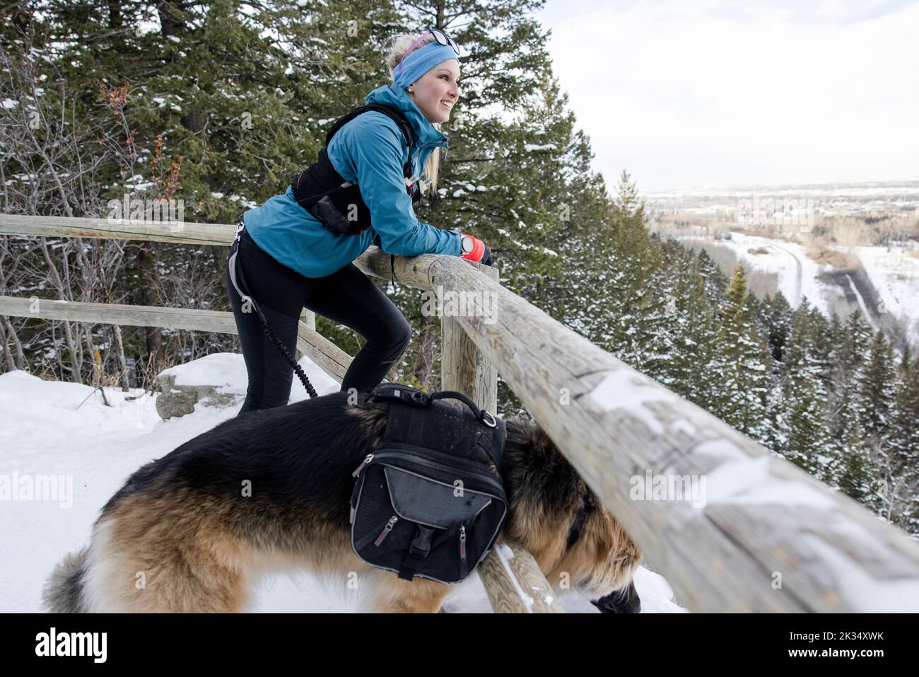 Fence runner hi-res stock photography and images - Alamy