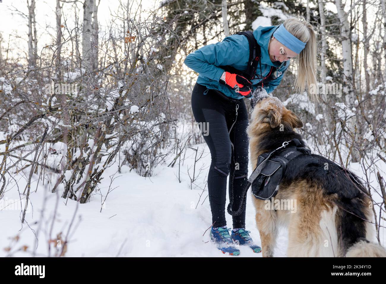 Female dog in nature hi-res stock photography and images - Alamy
