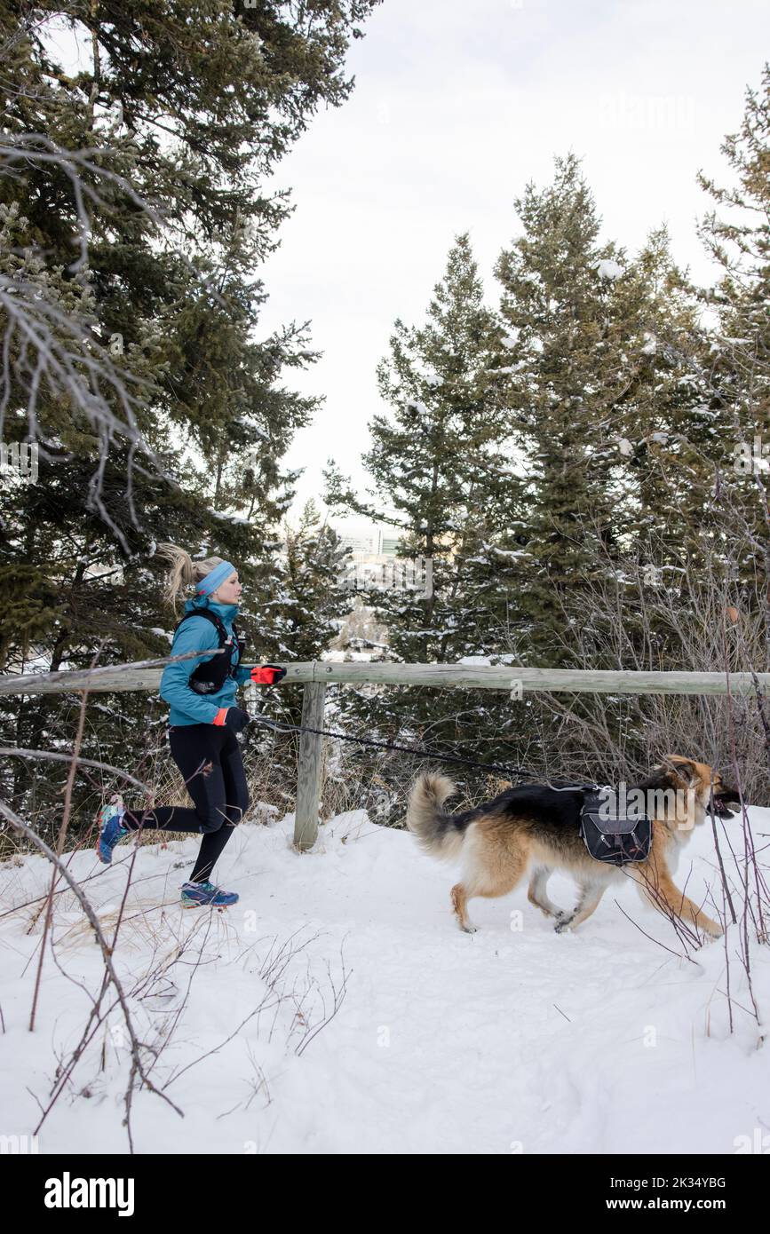 Person running with dog hi-res stock photography and images - Alamy