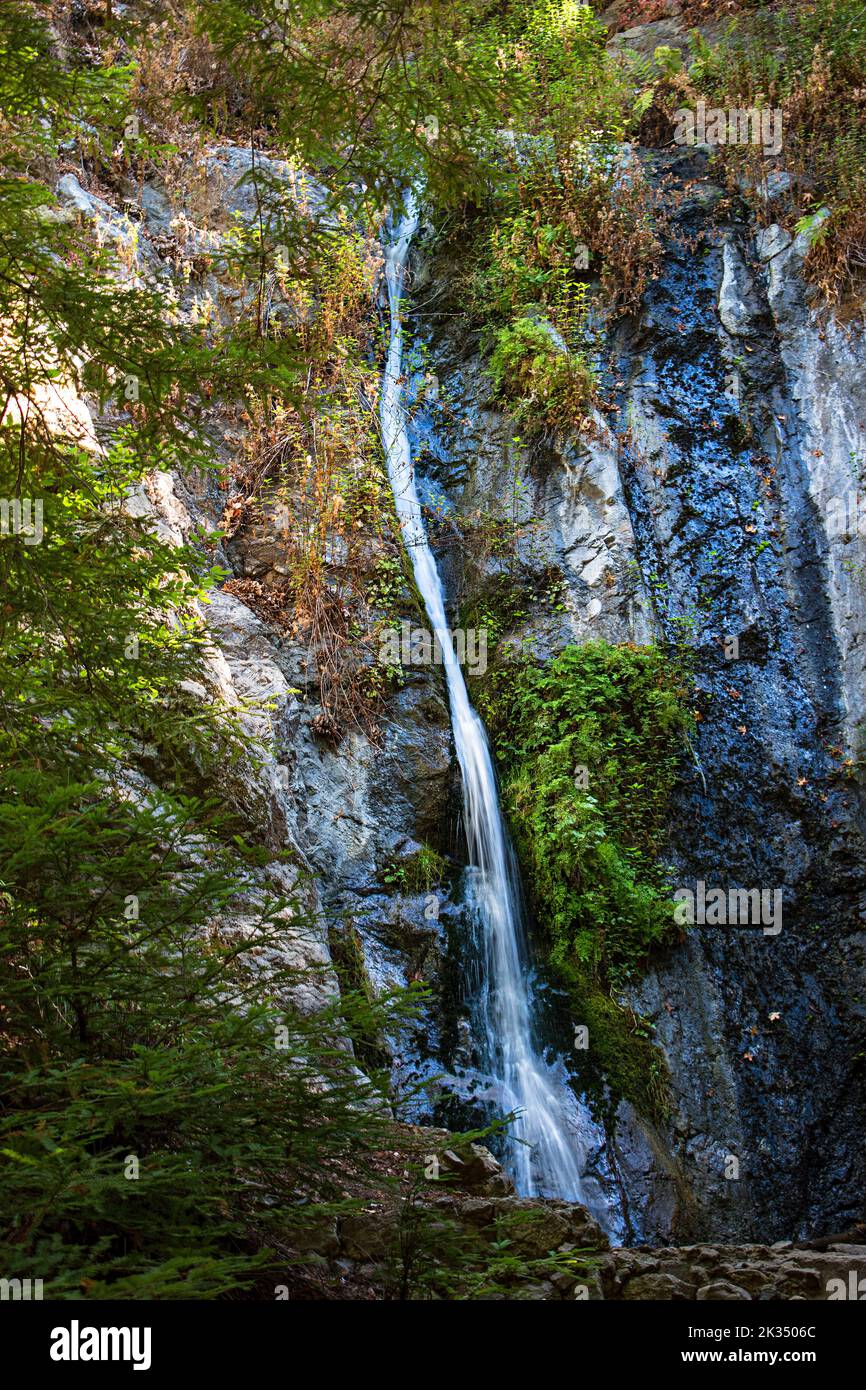 Pfeiffer Big Sur State Park, Big Sur, California, USA Stock Photo - Alamy