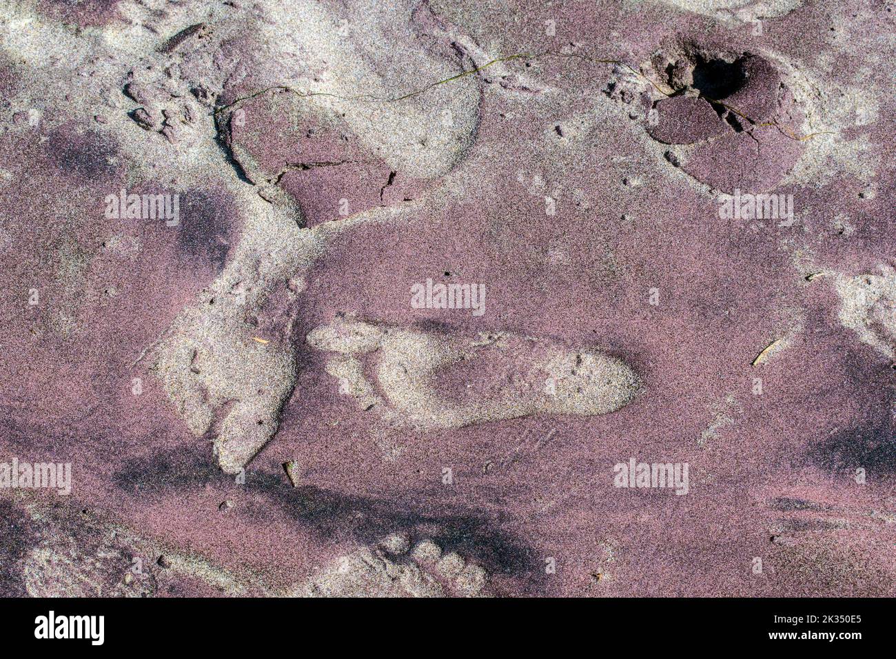 Pfeiffer Beach, Big Sur, California, USA Stock Photo - Alamy