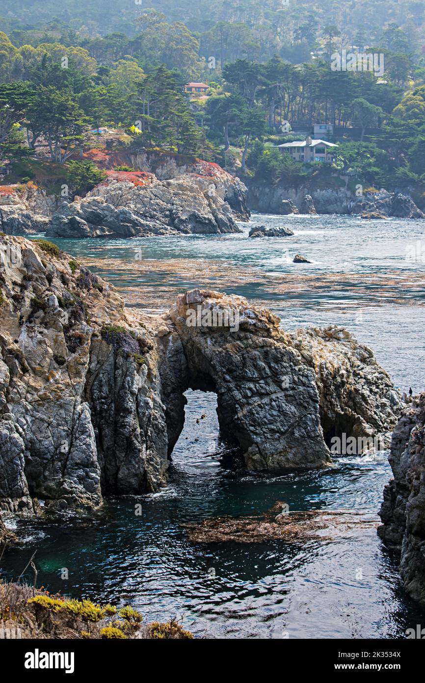 Rocky cove point lobos hi-res stock photography and images - Alamy